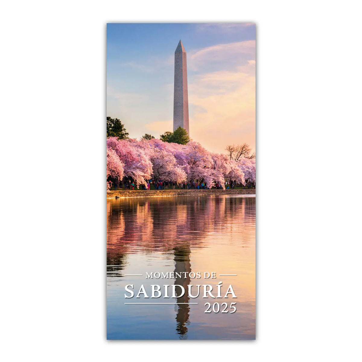 Moments of Wisdom Calendar 2025 – With prayer for the Jubilee year ...